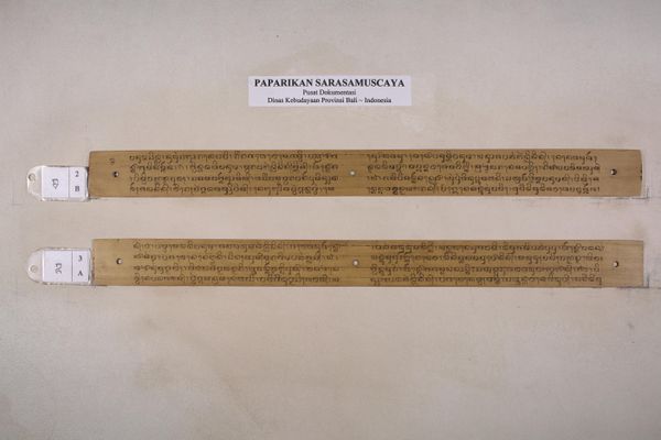 Paparikan Sarasamuscaya - Palm Leaf Wiki