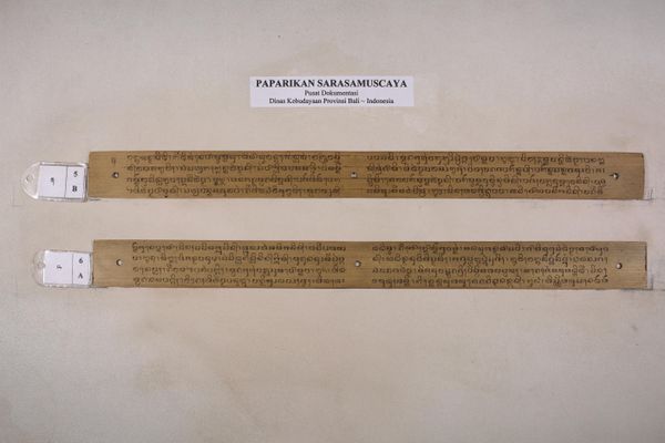 Paparikan Sarasamuscaya - Palm Leaf Wiki