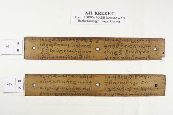 Aji Kreket - Palm Leaf Wiki