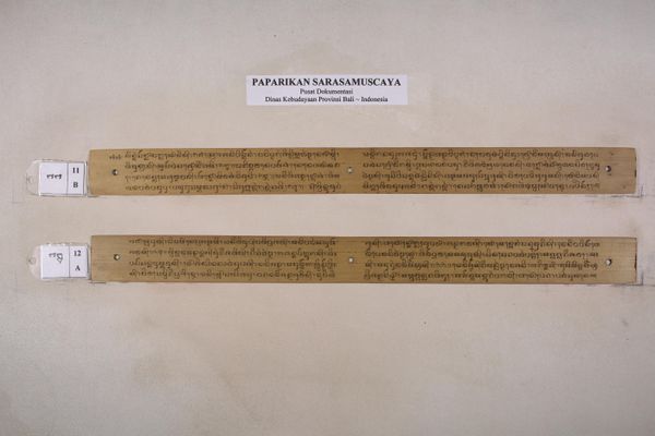 Paparikan Sarasamuscaya - Palm Leaf Wiki