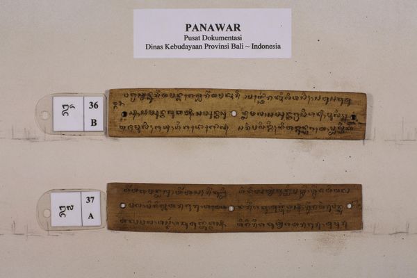 Panawar 01 - Palm Leaf Wiki