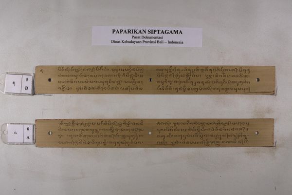 Paparikan Siptagama Palm Leaf Wiki