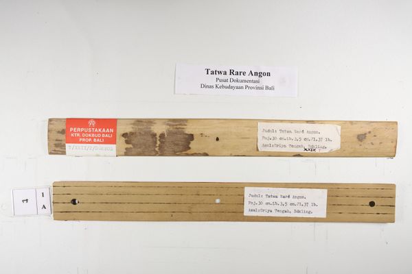 Tatwa Rare Angon - Palm Leaf Wiki