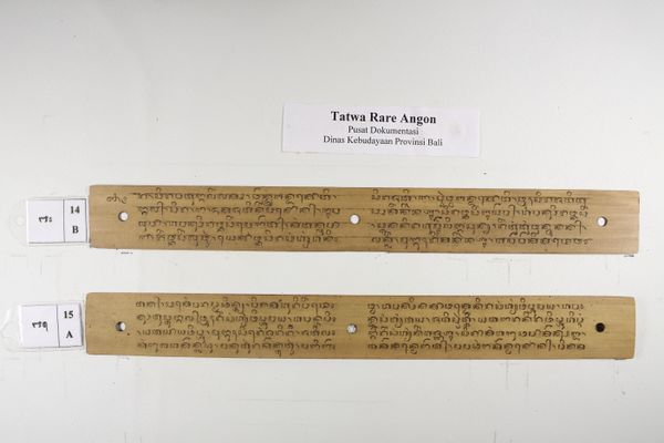 Tatwa Rare Angon - Palm Leaf Wiki