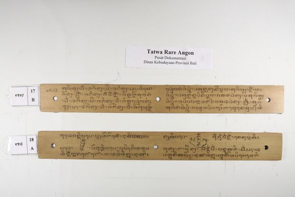 Tatwa Rare Angon - Palm Leaf Wiki