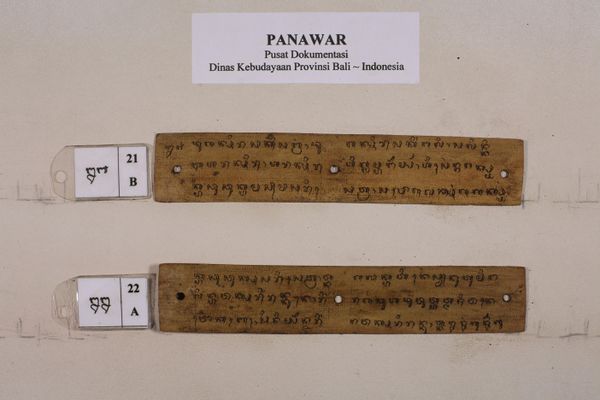 Panawar 01 - Palm Leaf Wiki