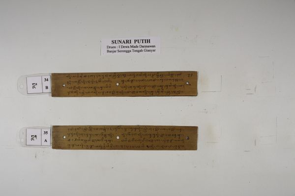 Sunari Putih - Palm Leaf Wiki