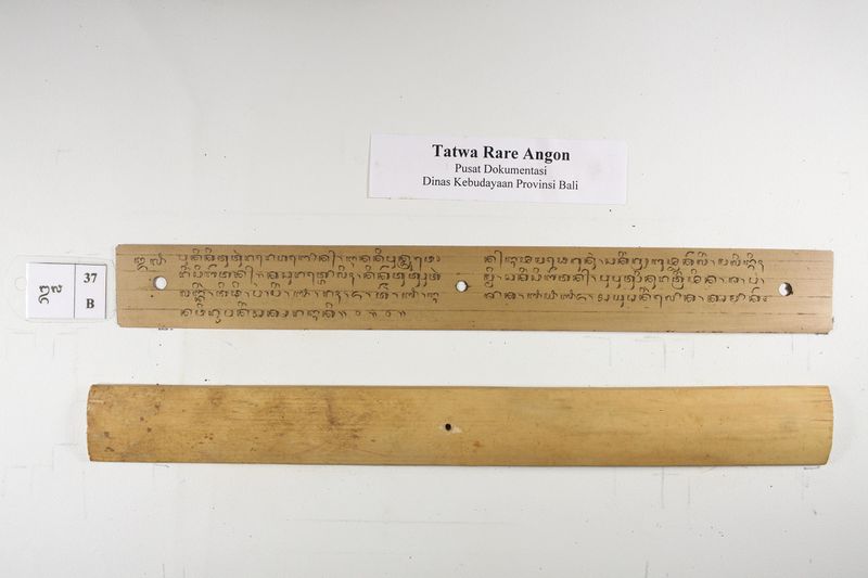 Tatwa Rare Angon - Palm Leaf Wiki